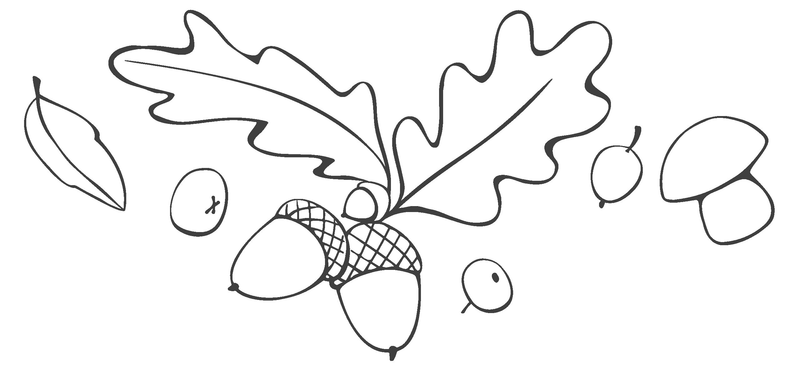 Thanksgiving Menu | Hudson House Inn | Cold Spring NY